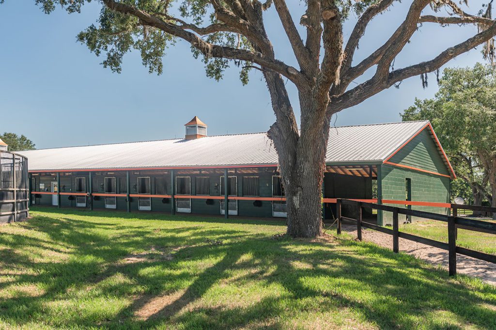 Stall Rental | Year Round Training in Florida
