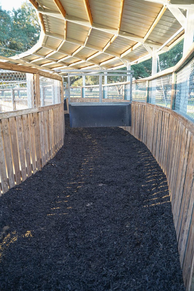 Thoroughbred Stall Rental | Designed with Trainers in Mind